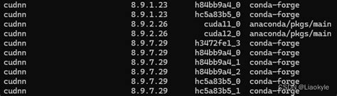 Anaconda虚拟环境中安装cudatoolkit和cudnn包并配置pytorch Gpuconda Cudatoolkit Csdn博客