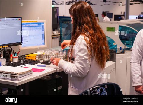 Medical Analysis Laboratory Biomedical Analysis Technicians Medical Analysis Laboratory 016837