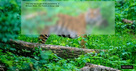 Nifty Ritchie P2b75g Codesandbox