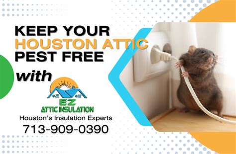 Keep Your Houston Attic Pest Free Ez Attic Insulation