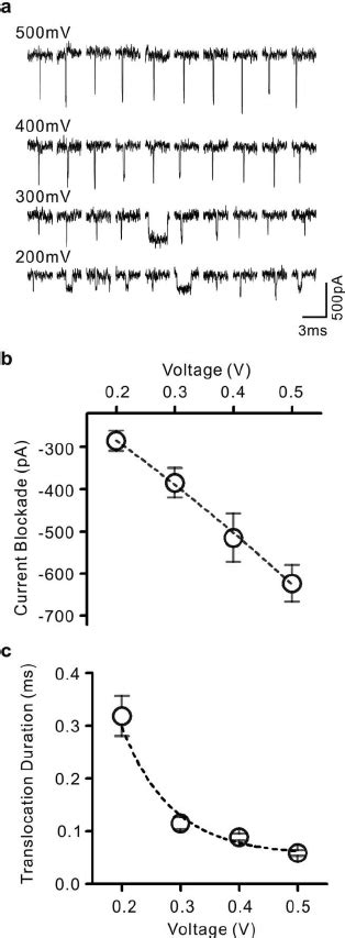 Double Stranded Dna Translocation A Representative Data Traces