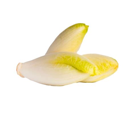 Endivia Marketplace Easybno