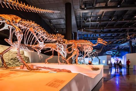 Houston Museum Of Natural Science