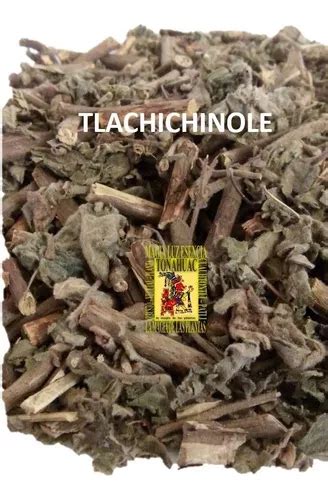 Tlachichinole Organica 250gr Planta Seca Envgratis Envío Gratis