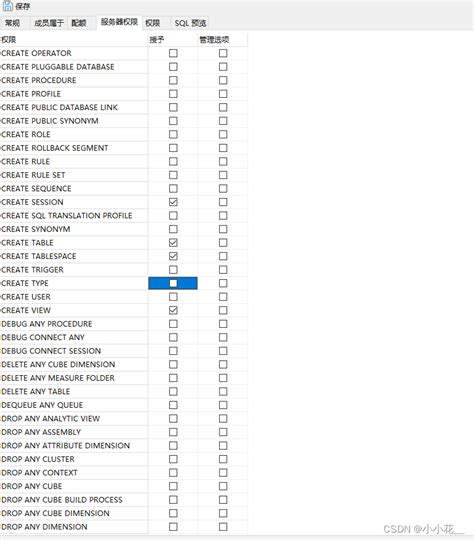 Oracle新增数据库用户，使用navicateoracle Navicat新增模式 Csdn博客