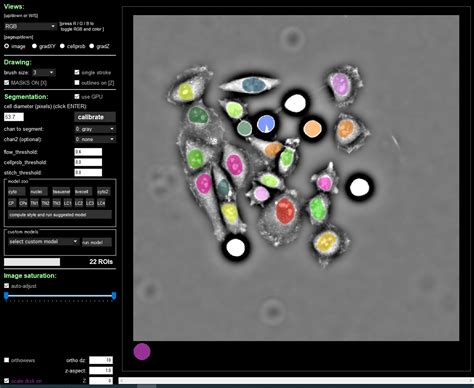Cannot Reproduce Gui Segmentation Results In Code For Custom Model