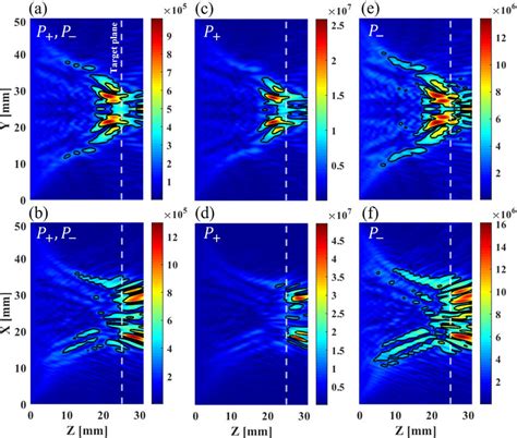 Nonlinear Distortion Effects On The Spatial Distributions Of Peak