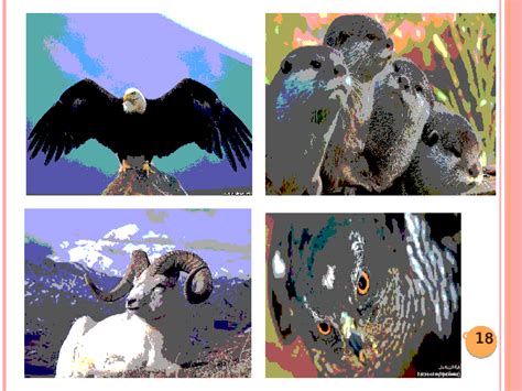 پاورپوینت آموزشی اجتماعی نهم L زیست بوم توندرا و تایگا گاما