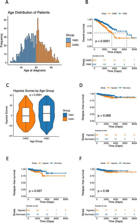 A Multi Omics Based Prognostic Model For Elderly Breast Cancer By Machine Learning Insights