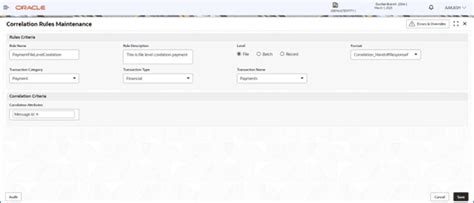Correlation Rule Maintenance