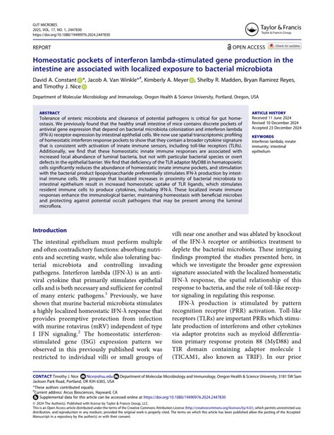Pdf Homeostatic Pockets Of Interferon Lambda Stimulated Gene