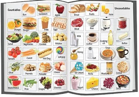 Lista De Alimentos Contables E Incontables En Ingles Mayoría Lista