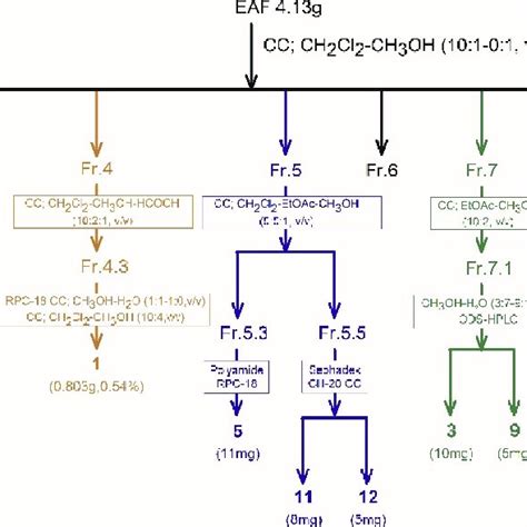 The Fractionation Of The Ethyl Acetate Fraction Eaf By Sequential Download Scientific Diagram