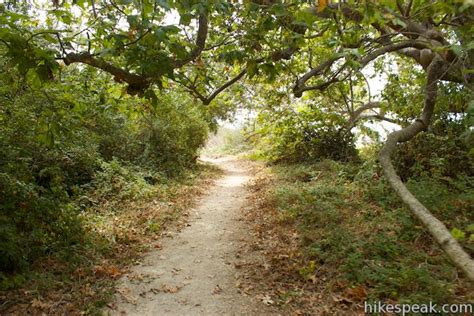 Nature Trail El Capitán State Beach