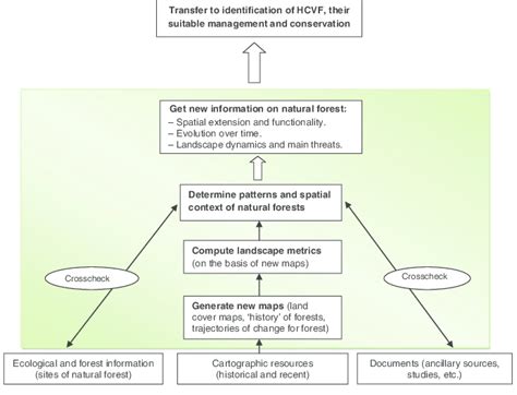 Context Of The Research Methodology Download Scientific Diagram