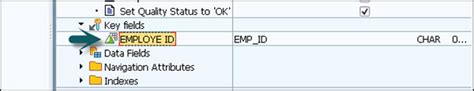 sap bw datastore objects and types