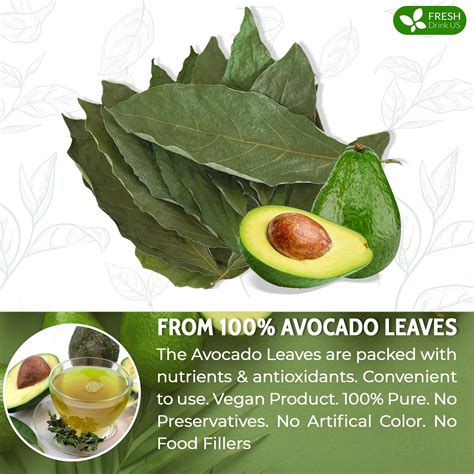 How To Make Avocado Leaf Tea