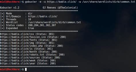 Gobuster Инструменты Kali Linux