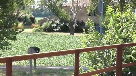 포도 수확 포르노 영상들 1317 Xhamster