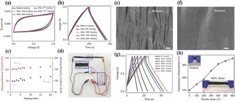 Typical Stretchable And Self‐healable Supercapacitor With Download