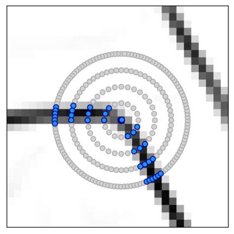 examples for adaptive masking of vertices in the graph light grey