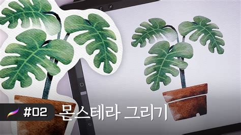 몬스테라 그리기 아이패드 수채화 일러스트 02 프로크리에이트 아이패드 드로잉 디지털 미술활동 Youtube