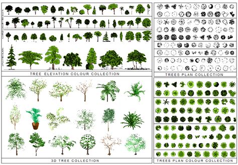 Pin On Tree CAD Collections