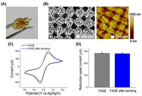 Flexible Electrochemical Biosensor Using Nanostructure Modified Polymer