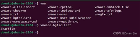 ubuntu 20 04 mnt hgfs 下不显示共享文件夹的处理办法 及 复制粘贴无反应 复制文件到ubuntu没有反应 csdn博客