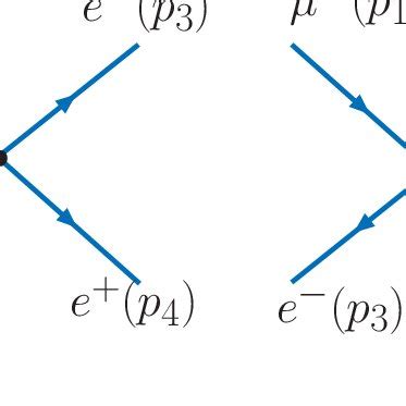 Feynman Diagrams for µ e e e Download Scientific Diagram