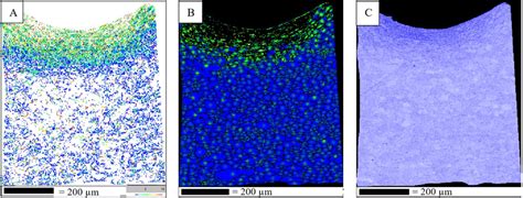 Ebsd Maps Showing 25 Deformed Sample Using Different Approaches Of