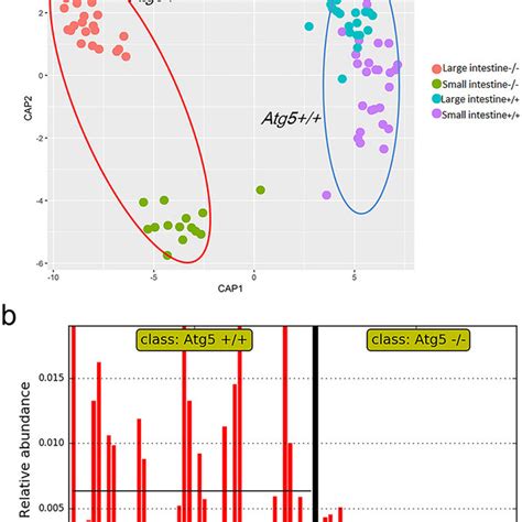 A Canonical Analysis Of Principal Coordinates Based On Unweighted