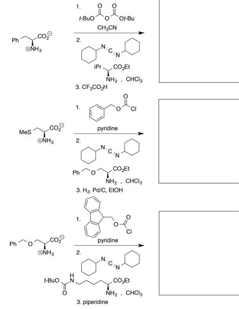 Solved E Product For The Following Transformations When Chegg Com