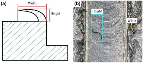 Measurement Of Burr A Schematic Diagram Of Burr Measurement B Burr Download Scientific