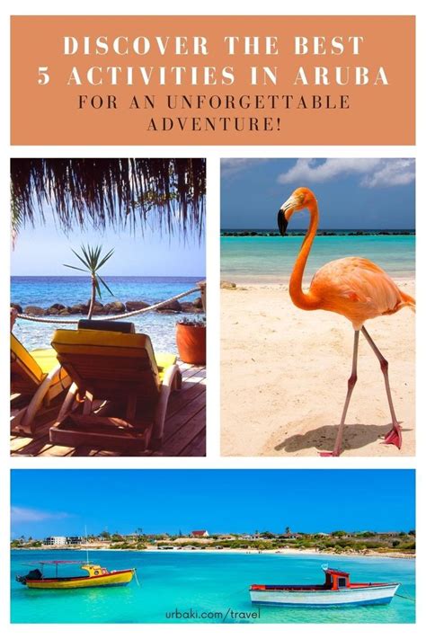 Discover The Best 5 Activities In Aruba For An Unforgettable Adventure