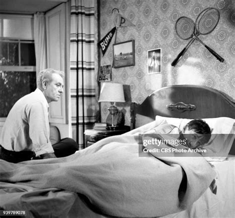 The Many Love Of Dobie Gillis Photos And Premium High Res Pictures