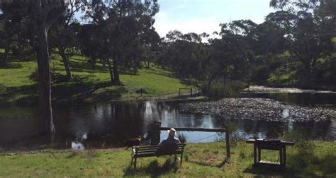 State Of The Environment 2023 Habitat Modification