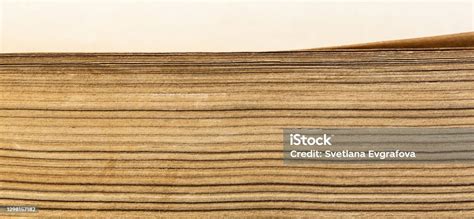 오래된 닫힌 책의 초라한 노란 종이 갈색 골판지 페이지의 질감과 빈티지 추상적 배경 복고풍 스타일의 텍스트 복사 공간이 비어 0명에 대한 스톡 사진 및 기타 이미지 Istock