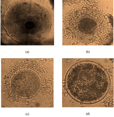 Researchopenworld Com