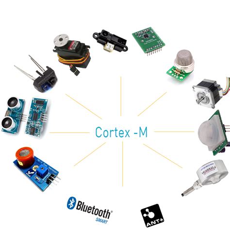 Cortex M Cortex M