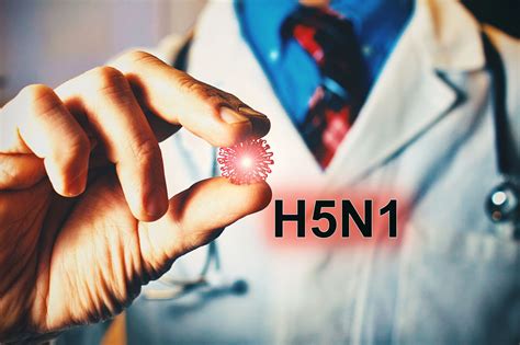 Wyomings First Case Of H5n1 Avian Influenza Detected In A Human
