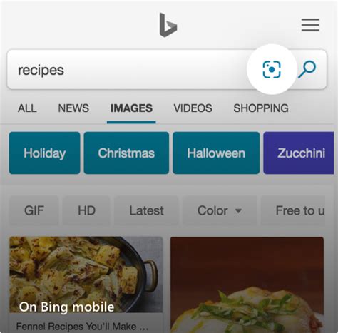 Bing Visual Search Reverse Image Search Tool
