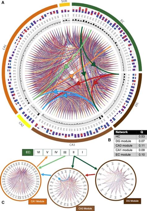 Chord Diagram A Biomedical Visualization Atlas