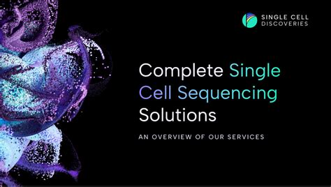 Single Cell Transcriptome Sequencing Costs And Considerations