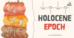 Epoch Unit Of Time In Geological Time Scale Anthroholic