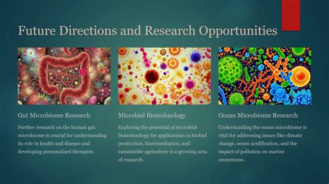 Lesson 5 Introduction To Microbial Ecosystemspptx