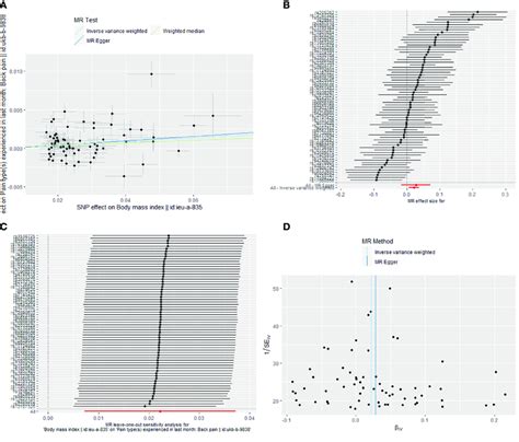 The Mendelian Randomization Analysis For Causal Effects Of Body Mass