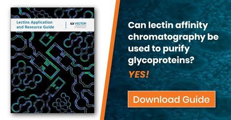 Vector Laboratories Inc On Linkedin Vectorlabs By Scientists For