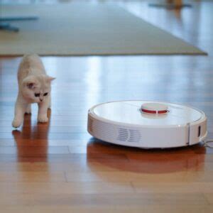 Exciting VEX Robot Builds You Can Create Today Robot Instructions