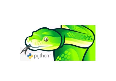 Pdf Programacion Orientada A Objetos En Python Dokumentips